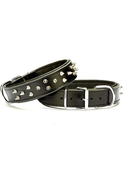 Doggie Güçlü Deri Köpek Çivili Boyun Tasması Small Siyah 4 x 47-55 cm Doggie Güçlü Deri Köpek Çivili Boyun Tasması Small Siyah 4 x 47-55 cm