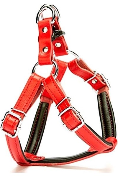 Doggie Fırstclass Deri Ronın Köpek Göğüs Tasması Small Kırmızı 1,5 x 40-45 cm Doggie Fırstclass Deri Ronın Köpek Göğüs Tasması Small Kırmızı 1,5 x 40-45 cm