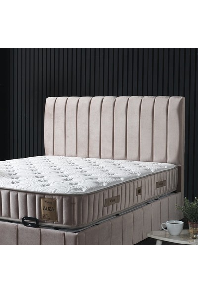 Armis Yatak Aliza Başlık (160 Cm)