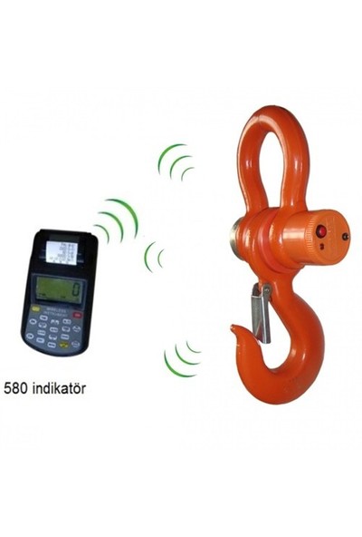 Tem Vinç Baskülü Yazıcılı Csh 5 Ton