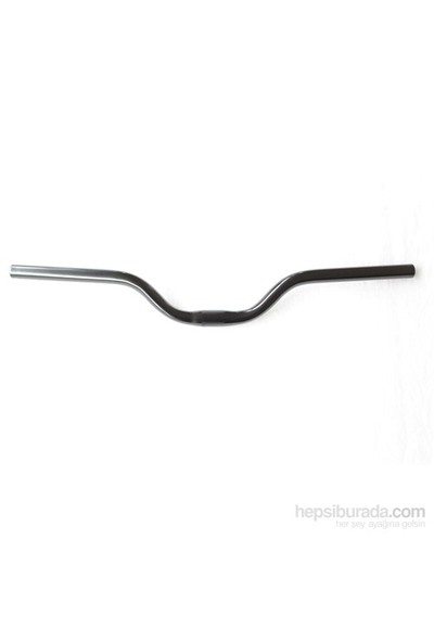 Carelle Çelik Gidon