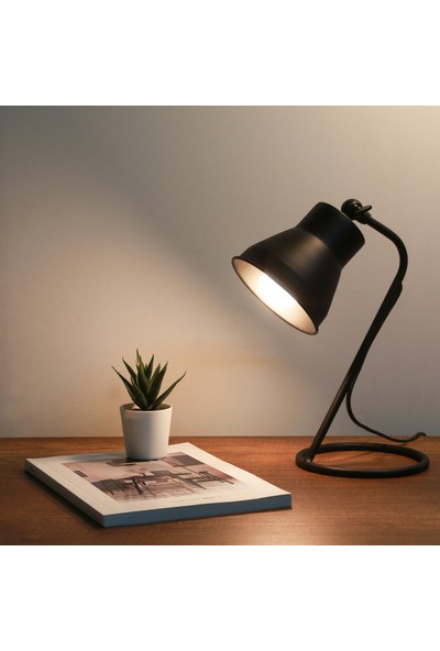 Homing Basic Tasarım Masa Lambası AYD-3031