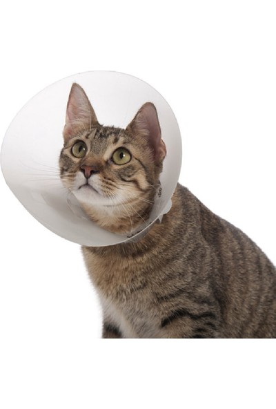 Farmena Kedi ve Köpek Için Ekonomik Yakalık 75 mm