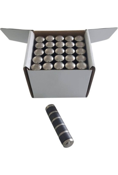 Farmena Rumagnet Japon Mıknatıs Metal Başlı