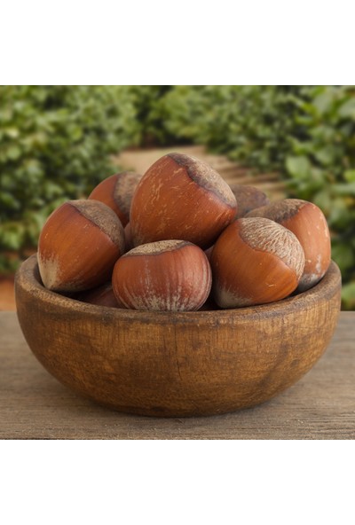 Hacı Mümtaz Kabuklu Fındık 1 kg Hacı Mümtaz Kabuklu Fındık 1 kg