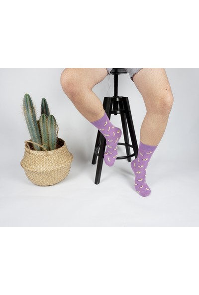 Aykırı Men Socks Mor Muz Temalı Çorap