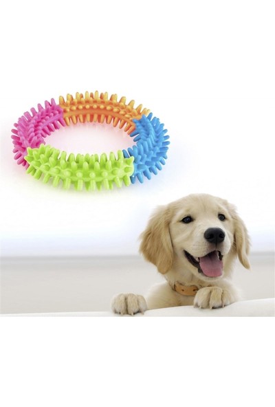 Safestore Köpek Diş Temizleyici ve Kaşıyıcı Sağlıklı Eğlenceli Oyuncak