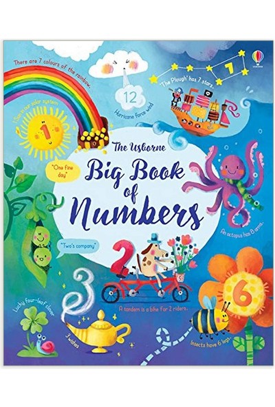 Big Book Of Numbers (Ciltli) - Felicity Brooks