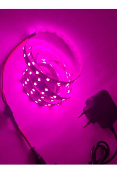 Zoapet Tam Spektrum Hidrofonik Fito Sera Bitki Büyütme 1 M 5050 Şerit LED Işık + Adaptör Dahil Zoapet Tam Spektrum Hidrofonik Fito Sera Bitki Büyütme 1 M 5050 Şerit LED Işık + Adaptör Dahil