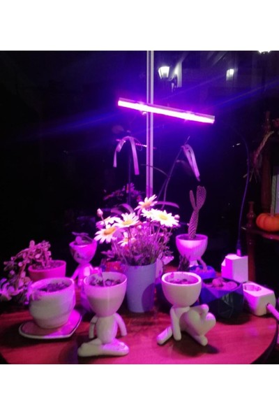 Wolfmar Bitki Geliştirme Lambası 6W Full Spektrum 21CM USB Li 5V 380-830 30 cm Spiral Wolfmar Bitki Geliştirme Lambası 6W Full Spektrum 21CM USB Li 5V 380-830 30 cm Spiral