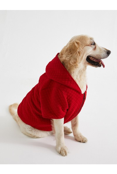 Koton Köpek Sweatshirt