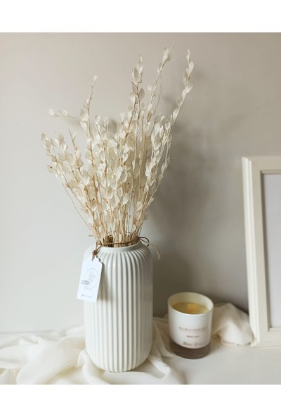 Serra Butik Çiçek Şoklanmış Beyaz Sedef Çiçek Serra Butik Çiçek Şoklanmış Beyaz Sedef Çiçek