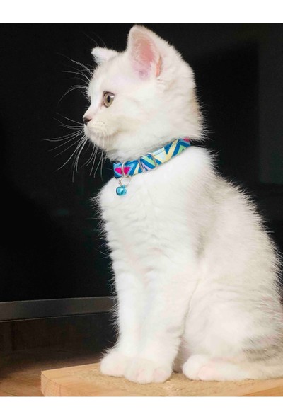 Nimbo Ayarlanabilir Renkli Graffiti Kedi ve Küçük Irk Köpek Tasması Nimbo Ayarlanabilir Renkli Graffiti Kedi ve Küçük Irk Köpek Tasması