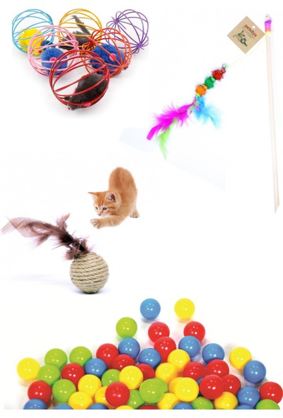 Pet Lütfen Kedi Oyun Seti 4'lü Olta Fareli Tel Top Hasır Top Renkli Oyun Topu Pet Lütfen Kedi Oyun Seti 4'lü Olta Fareli Tel Top Hasır Top Renkli Oyun Topu