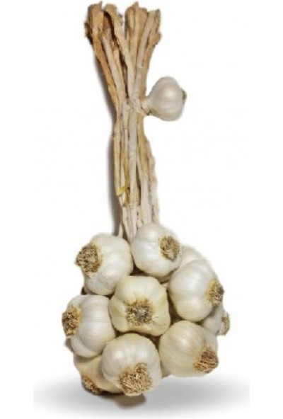 Taşköprü Sarımsağı Mürdük Büyük 1 kg