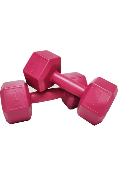 Delta 2,5 Kg x 2 Adet Köşeli Fuşya Plastik Dambıl Ağırlık Seti Delta 2,5 Kg x 2 Adet Köşeli Fuşya Plastik Dambıl Ağırlık Seti