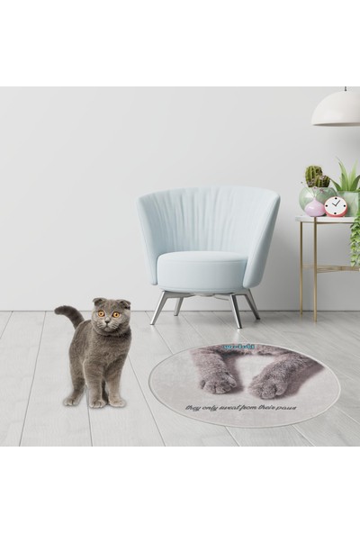 Wodoti 3 Boyutlu Paspas Küçük-3