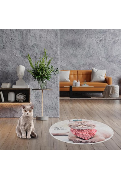 Wodoti 3 Boyutlu Paspas Küçük-2