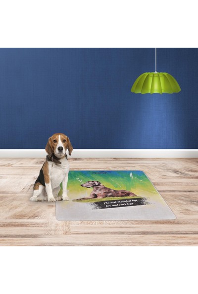 Wodoti 3 Boyutlu Paspas Büyük-5