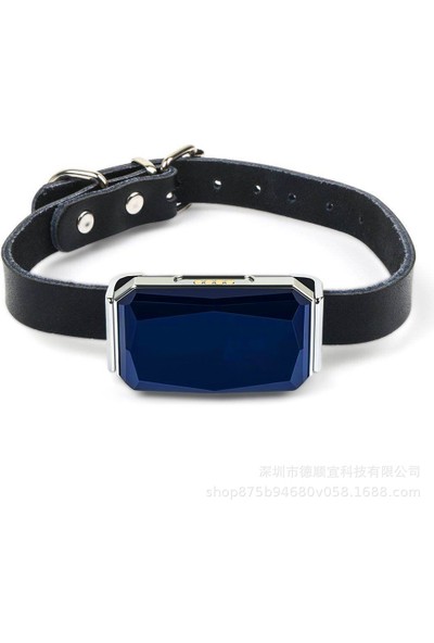 SW Future Gps Evcil Hayvan Bulucu (Yurt Dışından)