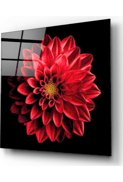 Pi Dekorasyon Çiçek Cam Tablo