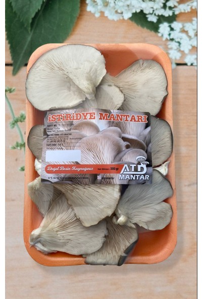 Atd Mantar Istiridye Mantarı 300 gr