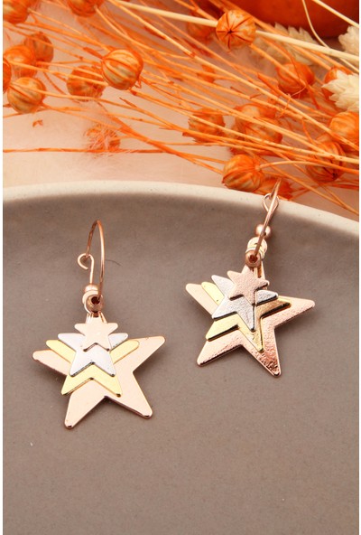 Pelin Aksesuar Rose Yıldızlı Halka Küpe