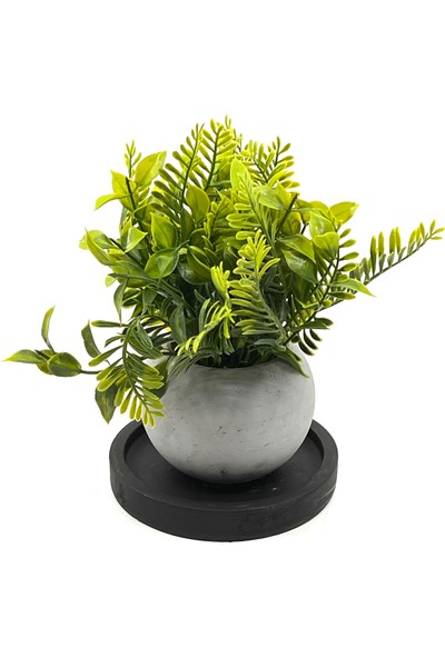 The Bouqet Mini Küre Beton Saksıda Yeşillik Aranjmanı Tepsili Set