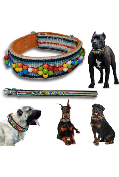 Mutlu Tavukçuluk Kangal Tasma Boncuklu Içi Keçe Boyun Tasması Mutlu Tavukçuluk Kangal Tasma Boncuklu Içi Keçe Boyun Tasması