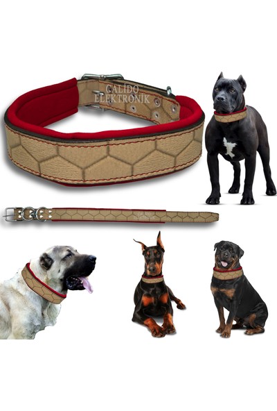 Mutlu Tavukçuluk Deri Köpek Boyun Tasma Golden Rottweiler Dogo Doberman Kangal Tasması Içi Yumuşak 70X4 cm Kahverengi