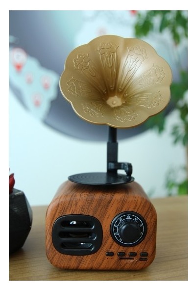 Evdeki Çarşı B5 Nostaljik Mini Retro Dizayn Gramafon Radyo USB AUX Bluetooth Radyo Evdeki Çarşı B5 Nostaljik Mini Retro Dizayn Gramafon Radyo USB AUX Bluetooth Radyo