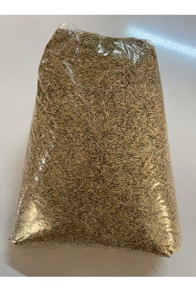 Mutlu Tohum Italyan Çimi Süt Otu Obelix Ithal Reygras Tohumu 1,5 kg Mutlu Tohum Italyan Çimi Süt Otu Obelix Ithal Reygras Tohumu 1,5 kg