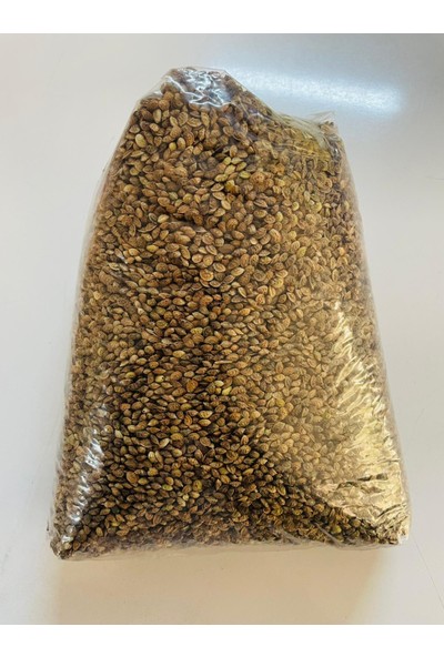 Mutlu Tohum Mahsul Korunga Yem Bitkisi Tohumu (Lütfibey 2kg)