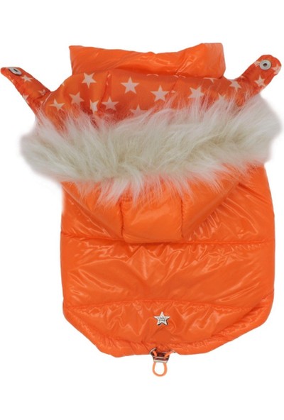 Pawstar Parlak, Pofuduk Turuncu Köpek Montu