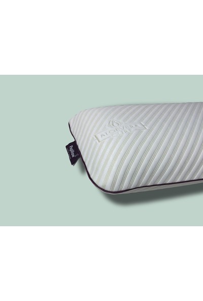 Papillow Innovation Aloe Vera Cure Lateks Yastık Queen 60 x 40 x 12 Cm.