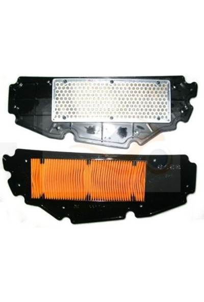 Sym Gts Joymax Cruisym Hava Filtre Elemanı 17211-HMA-000