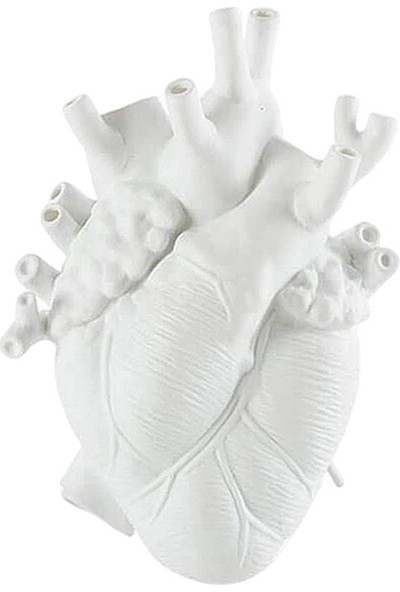 F Fityle Anatomik Kalp Reçine Heykeli Figürinler Saksı Ev Raf Masa Dekoru (Yurt Dışından) F Fityle Anatomik Kalp Reçine Heykeli Figürinler Saksı Ev Raf Masa Dekoru (Yurt Dışından)