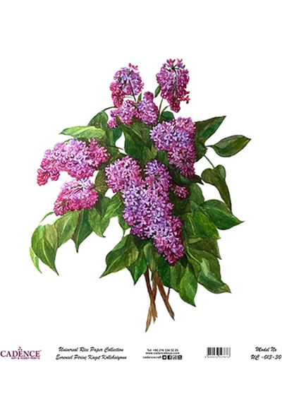 Cadence Uc 013 Çiçek Serisi Pirinç Dekopaj 30 x 30 Cadence Uc 013 Çiçek Serisi Pirinç Dekopaj 30 x 30