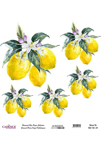 Cadence Uc 166 Çiçek Serisi Pirinç Dekopaj 30 x 30 Cadence Uc 166 Çiçek Serisi Pirinç Dekopaj 30 x 30