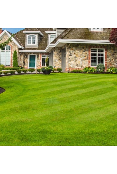 İntfa Village Mix Grass Çim Tohumu - 10 kg