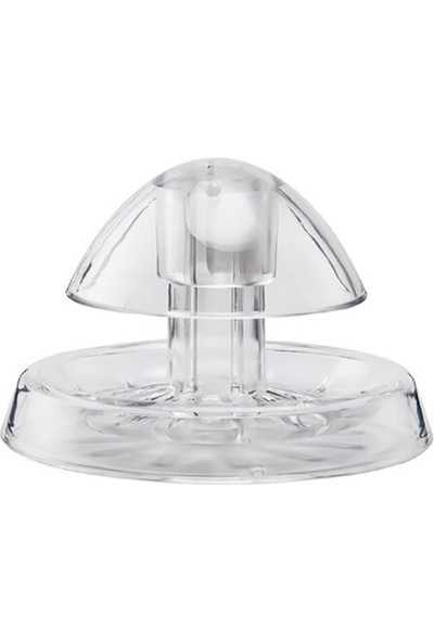 Charge Plastik Haşere Salyangoz Yakalama Kutusu 6 x 6 cm