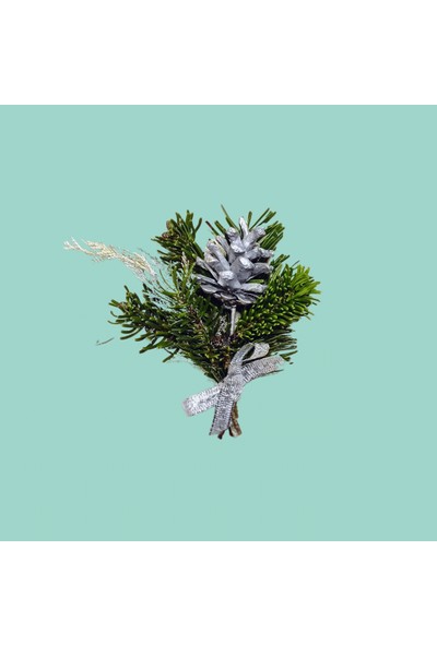 Casa Florista Yılbaşı Hediye Paket Süsü (Yeşil, Gümüş) Casa Florista Yılbaşı Hediye Paket Süsü (Yeşil, Gümüş)