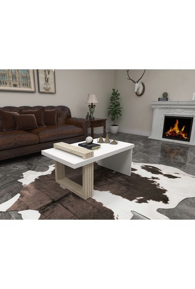 Fassley Dekoratif Orta Sehpa Ağaç