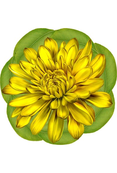 Soley Bohem Banyo Dekoratif Banyo Paspas 90X90 Soley Bohem Banyo Dekoratif Banyo Paspas 90X90