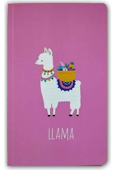 Keskin Color Taylor Lama Dikişli Pembe Karton Kapak 40 Yaprak A6 Çizgili Not Defteri