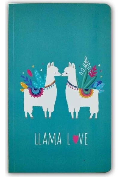 Keskin Color Taylor Lama Dikişli Turkuaz Karton Kapak 40 Yaprak A6 Çizgili Not Defteri Keskin Color Taylor Lama Dikişli Turkuaz Karton Kapak 40 Yaprak A6 Çizgili Not Defteri