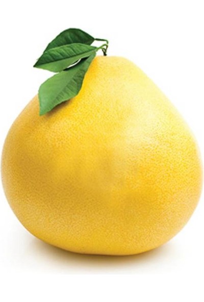 Sebze Meyve Dünyası Pomelo Yerlı Sebze Meyve Dünyası Pomelo Yerlı