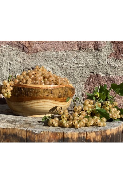 Ormandan Frenk Üzümü Sarı