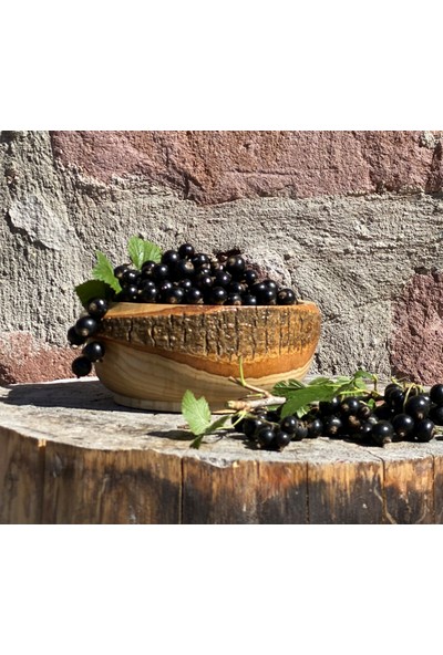 Ormandan Frenk Üzümü Siyah