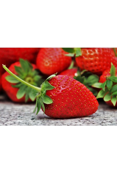 TohumBaba Çilek Tohumu Pakette 30 Adettohum